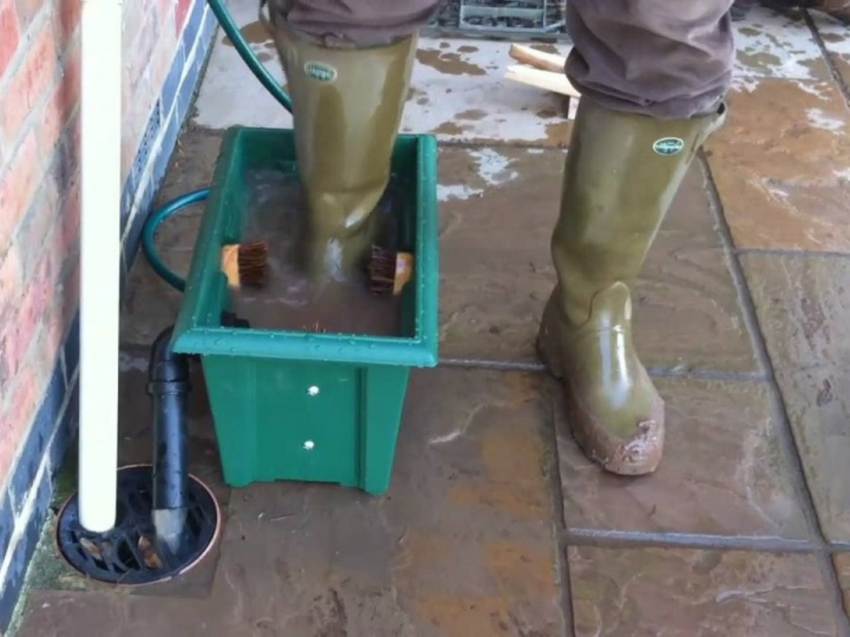 Prevention is better than cure: the importance of biosecurity for ...